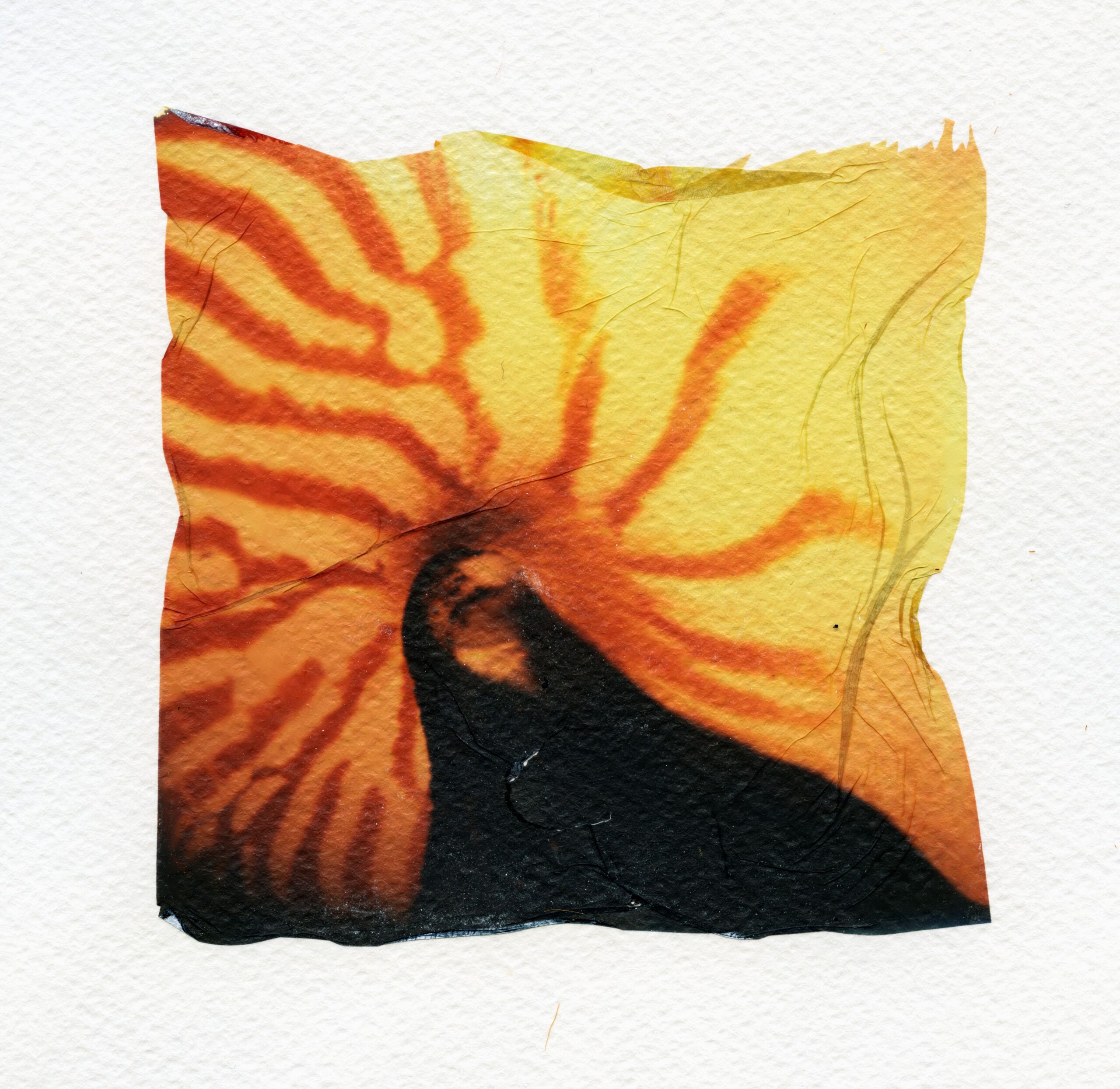 Metapress Migration Services Now Available - Public Knowledge Project